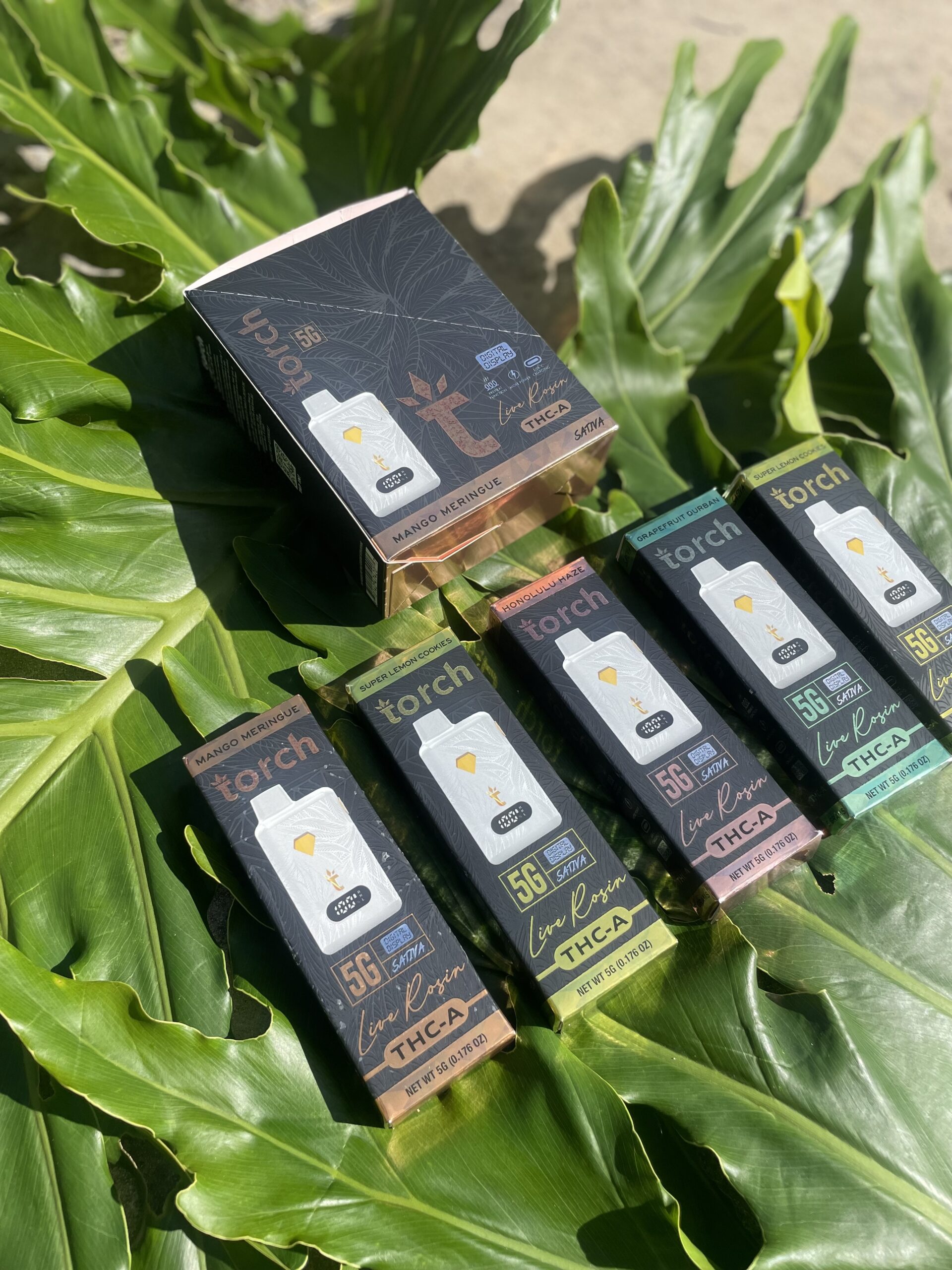 Torch 5g con pantalla digital - RZK Importaciones